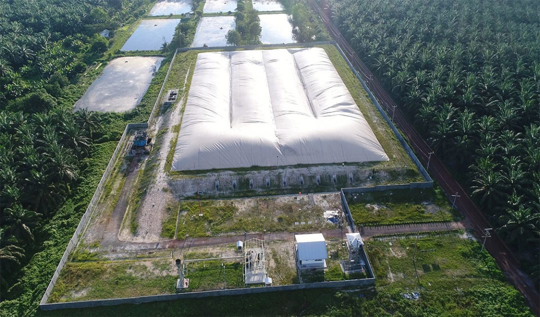 Process Systems | Organics Biogas